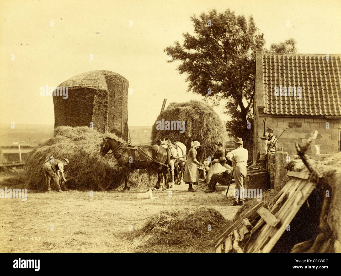 The Ingathering, ca 1885, by Frank Meadow Sutcliffe Stock Photo - Alamy