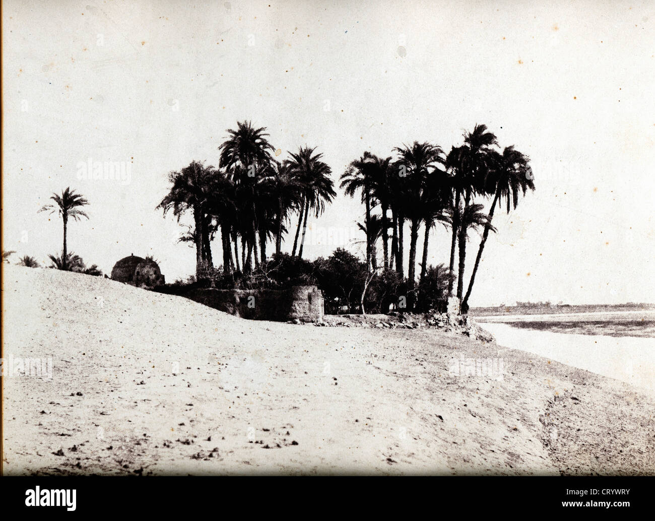 Louksor, Dattiers et Jardin de L'Expedition du Louksor, by Felix ...