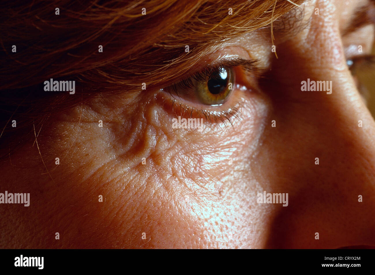 Cutaneous sense hi-res stock photography and images - Alamy