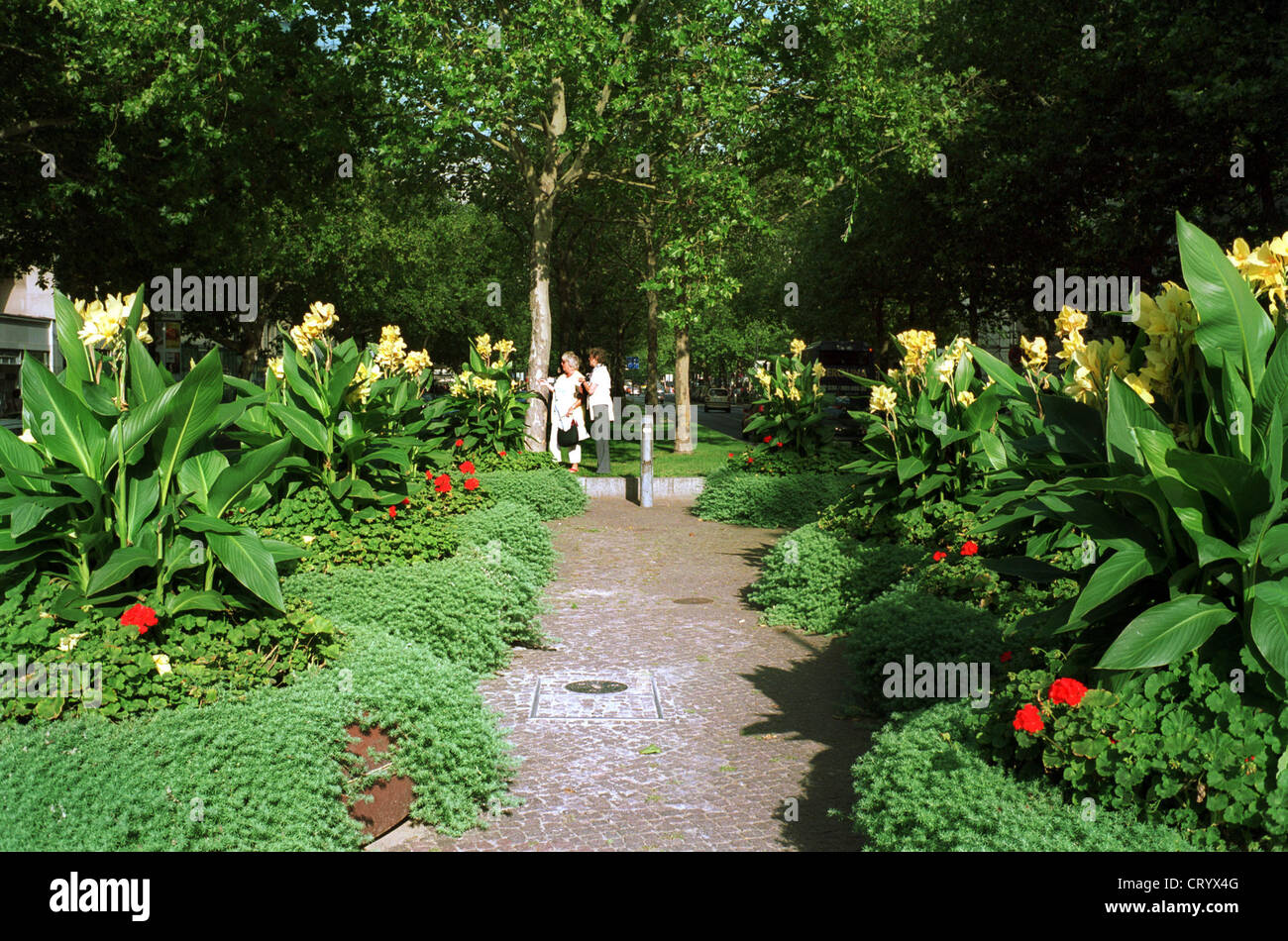 Median strip with trees hi-res stock photography and images - Alamy