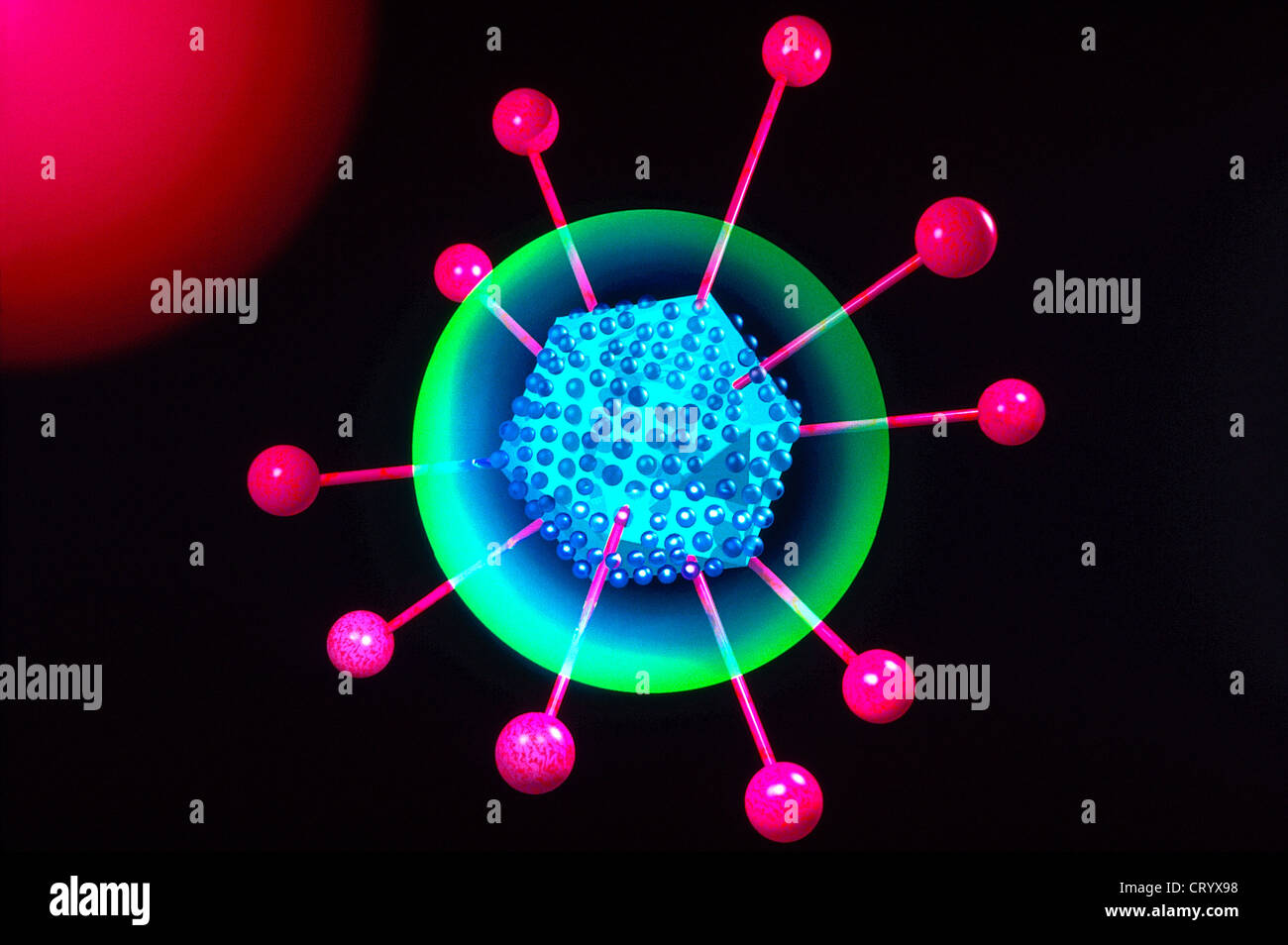 Adenovirus model hi-res stock photography and images - Alamy