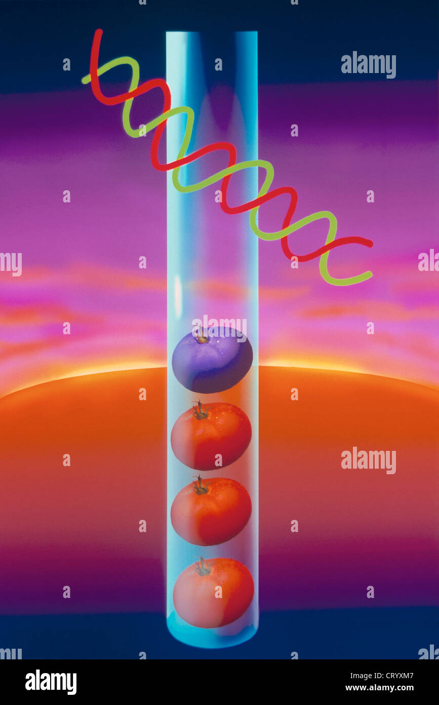 Genetically modified food drawings hi-res stock photography and images ...