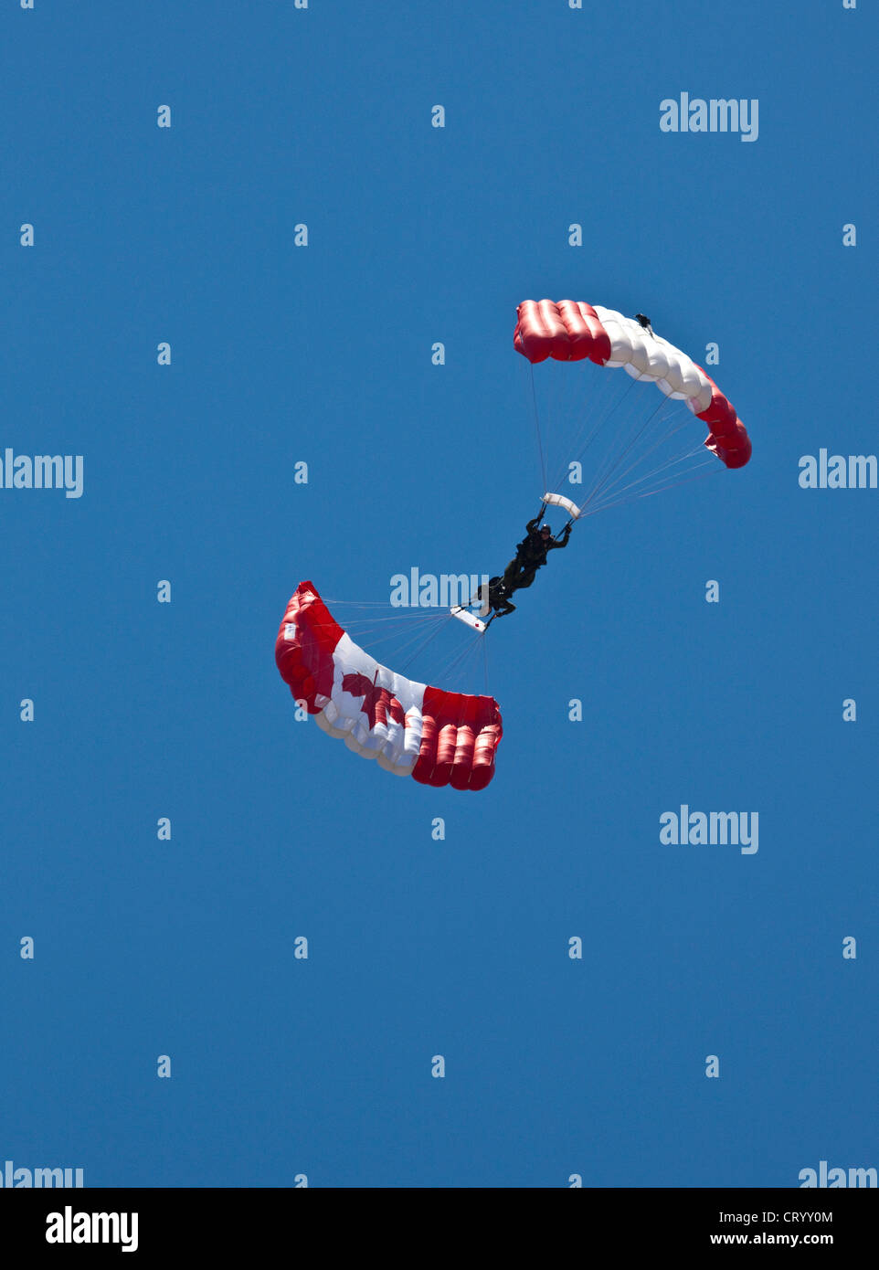 Canadian Armed Forces Parachute demonstration team performing in Camp ...