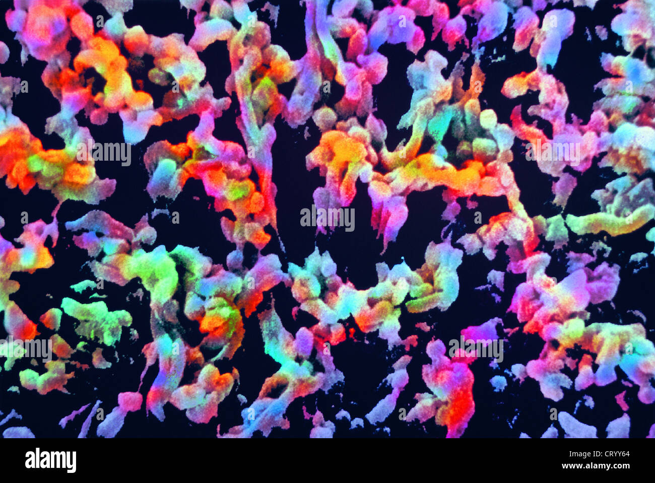 Retina sem hi-res stock photography and images - Alamy