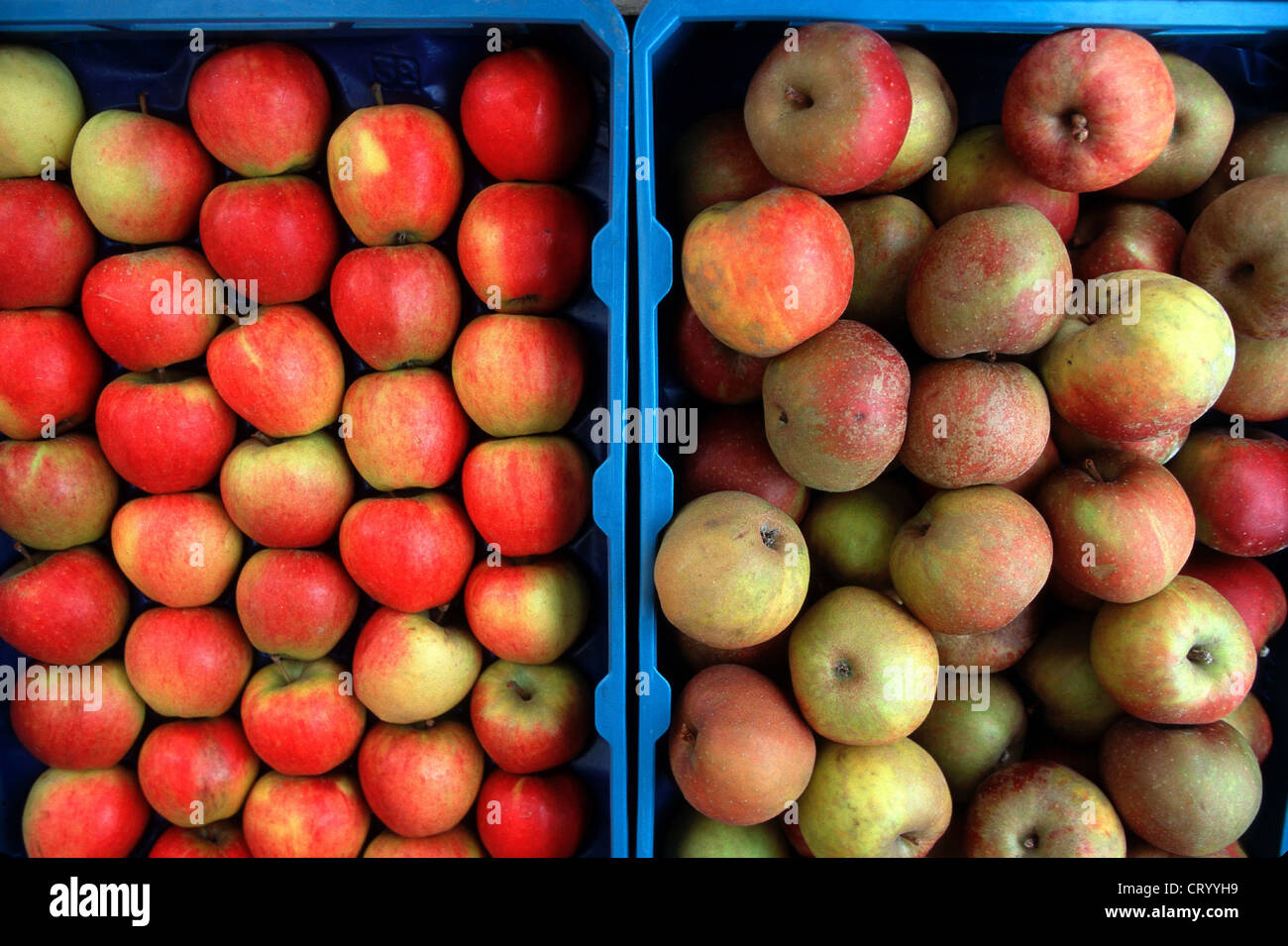 Loose apples in crates Stock Photo - Alamy