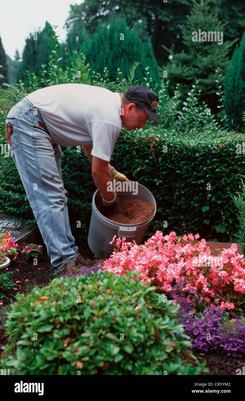 Cemetery, a gardener at the grave care Stock Photo - Alamy