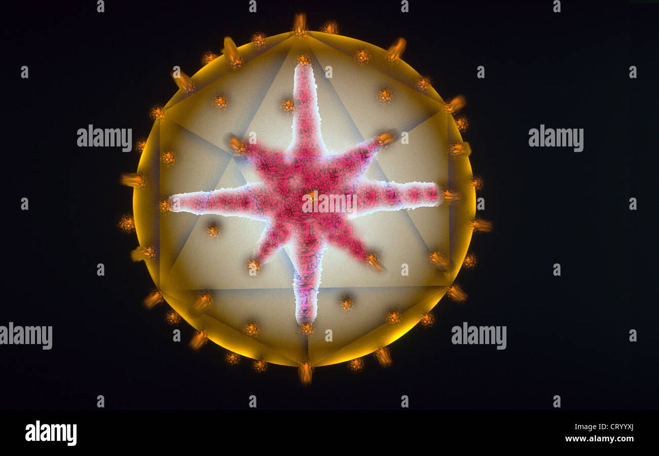 Hepatitis c drawing hi-res stock photography and images - Alamy