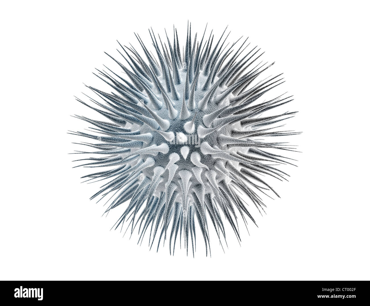 Virus cell isolated on black background Stock Photo - Alamy