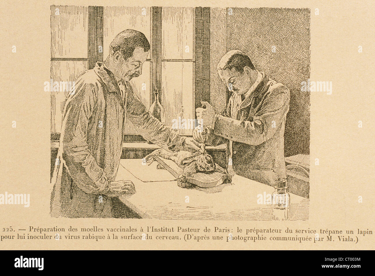 History medicine rabies hi-res stock photography and images - Alamy