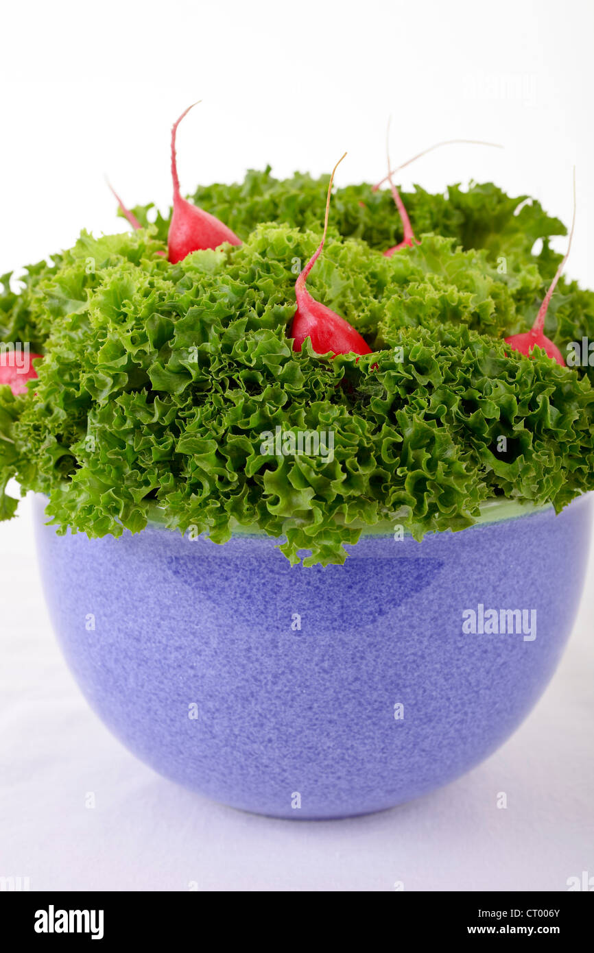 Lettuce and radish hi-res stock photography and images - Alamy