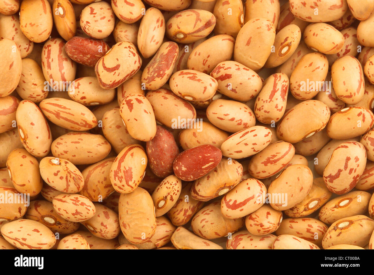 VEGETABLE WHITE HARICOT BEAN Stock Photo - Alamy