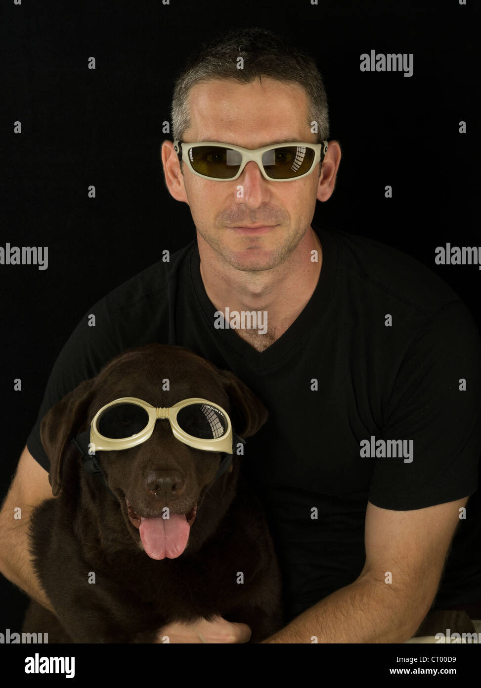Labrador wearing sunglasses hi-res stock photography and images - Alamy