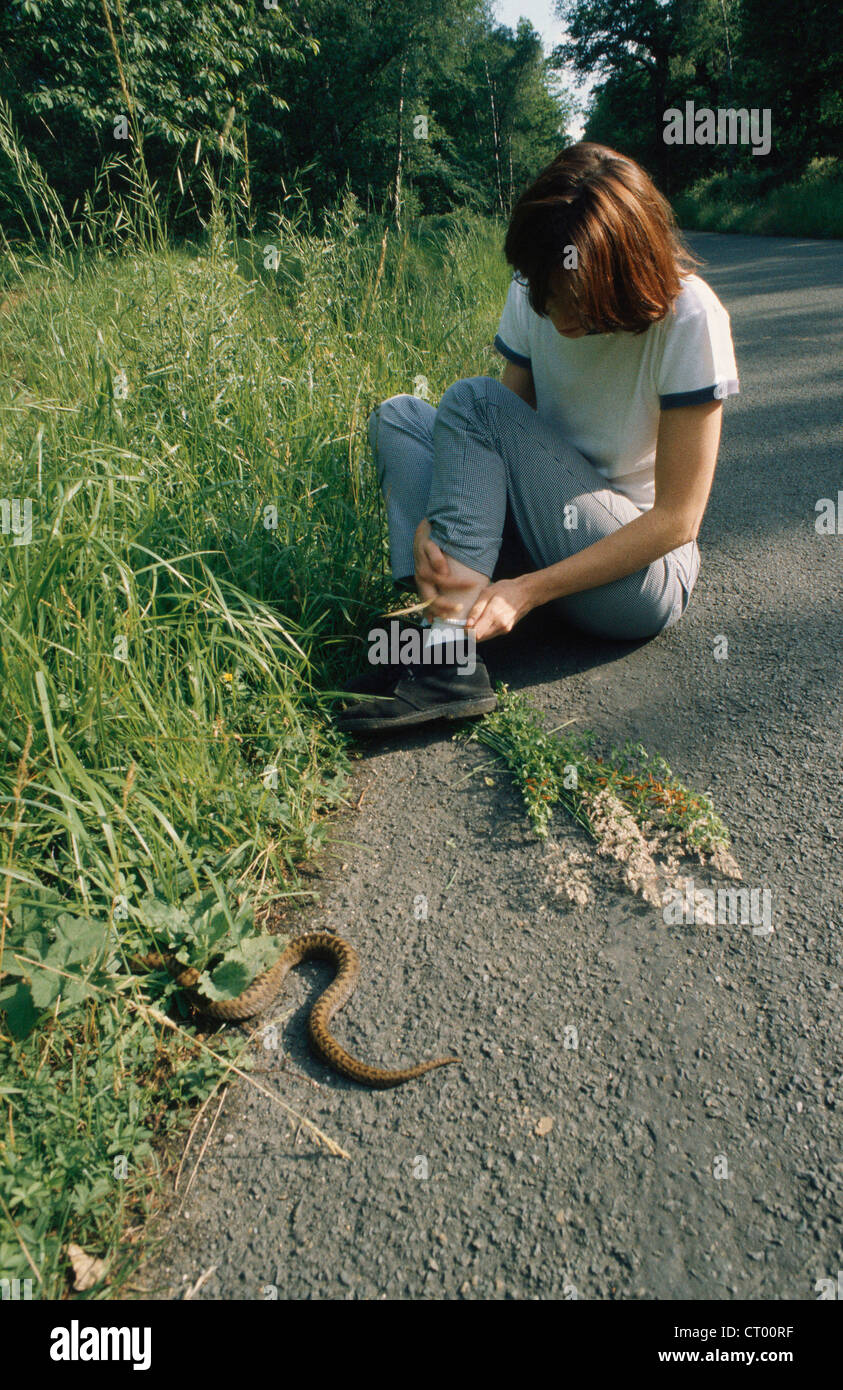 Traumatic bite hi-res stock photography and images - Alamy