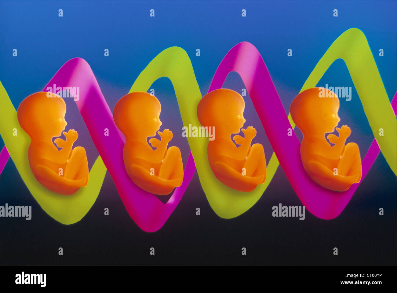 Reproductive cloning hi-res stock photography and images - Alamy