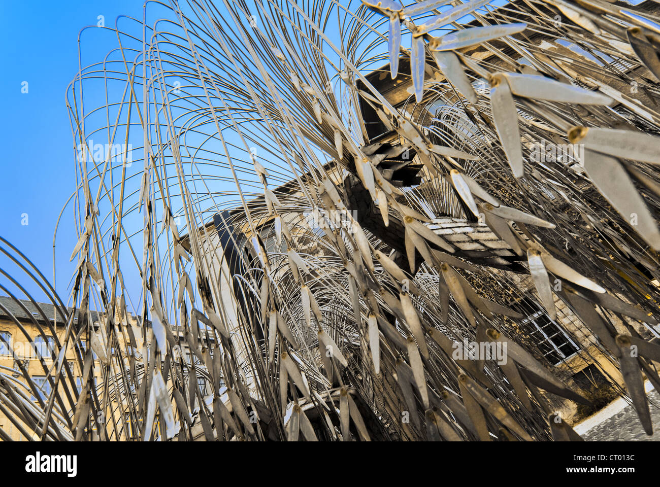 "Tree of Life" leaves contain names of holocaust victims - Dohany ...
