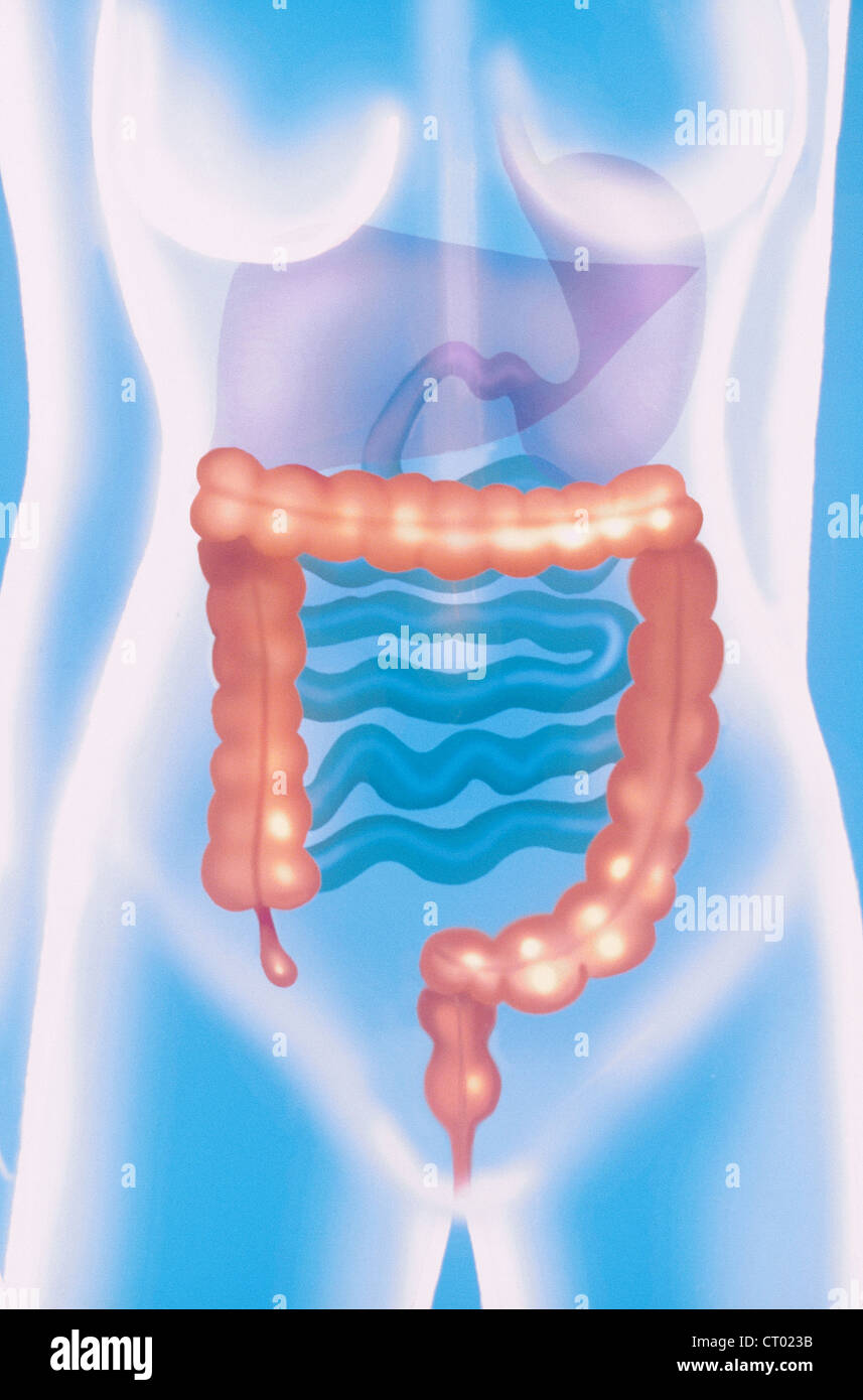 Colonic woman hi-res stock photography and images - Alamy