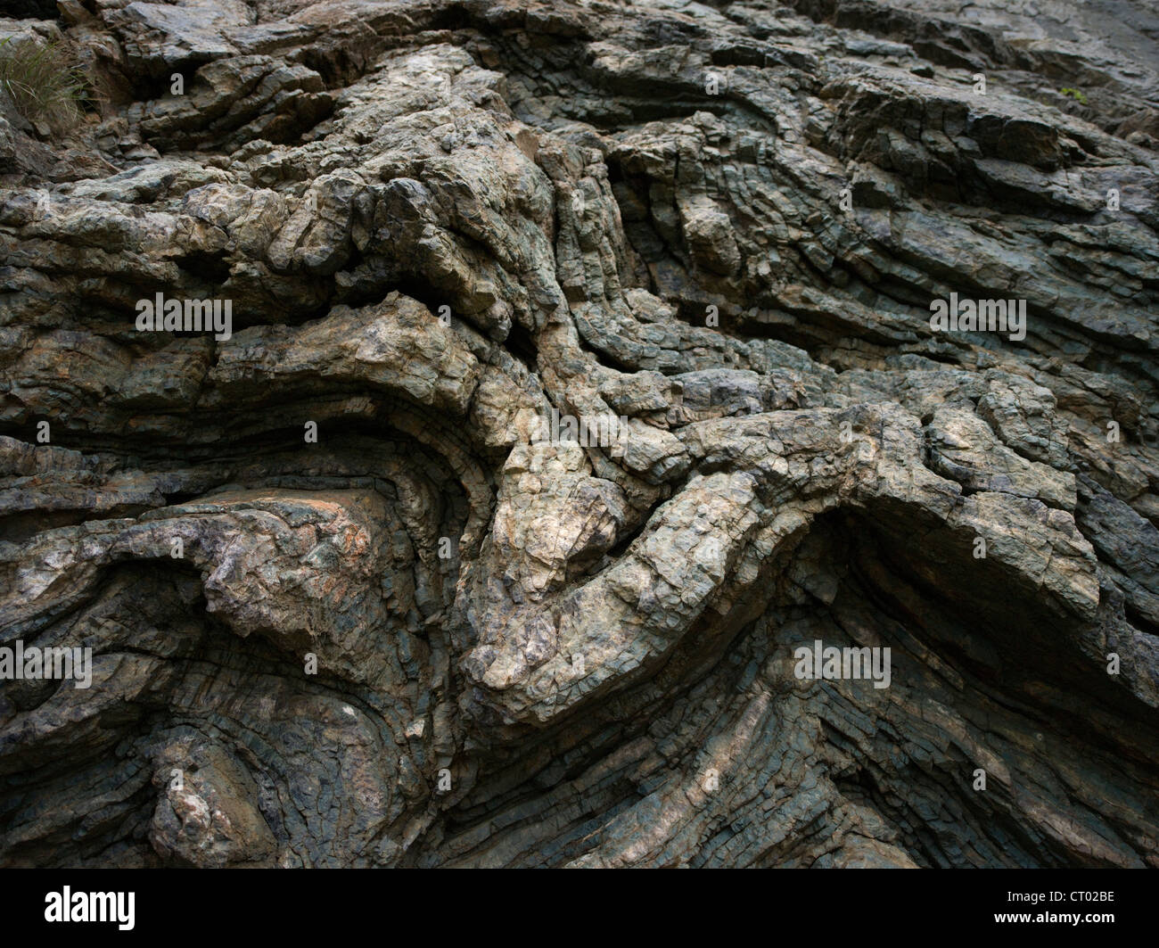 Rock Fold in sedimentary strata Okinawa, Japan Stock Photo - Alamy