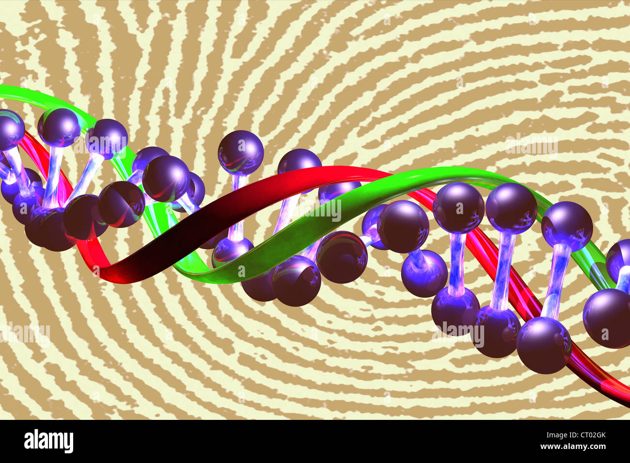 Dna profile genetic fingerprint hi-res stock photography and images - Alamy