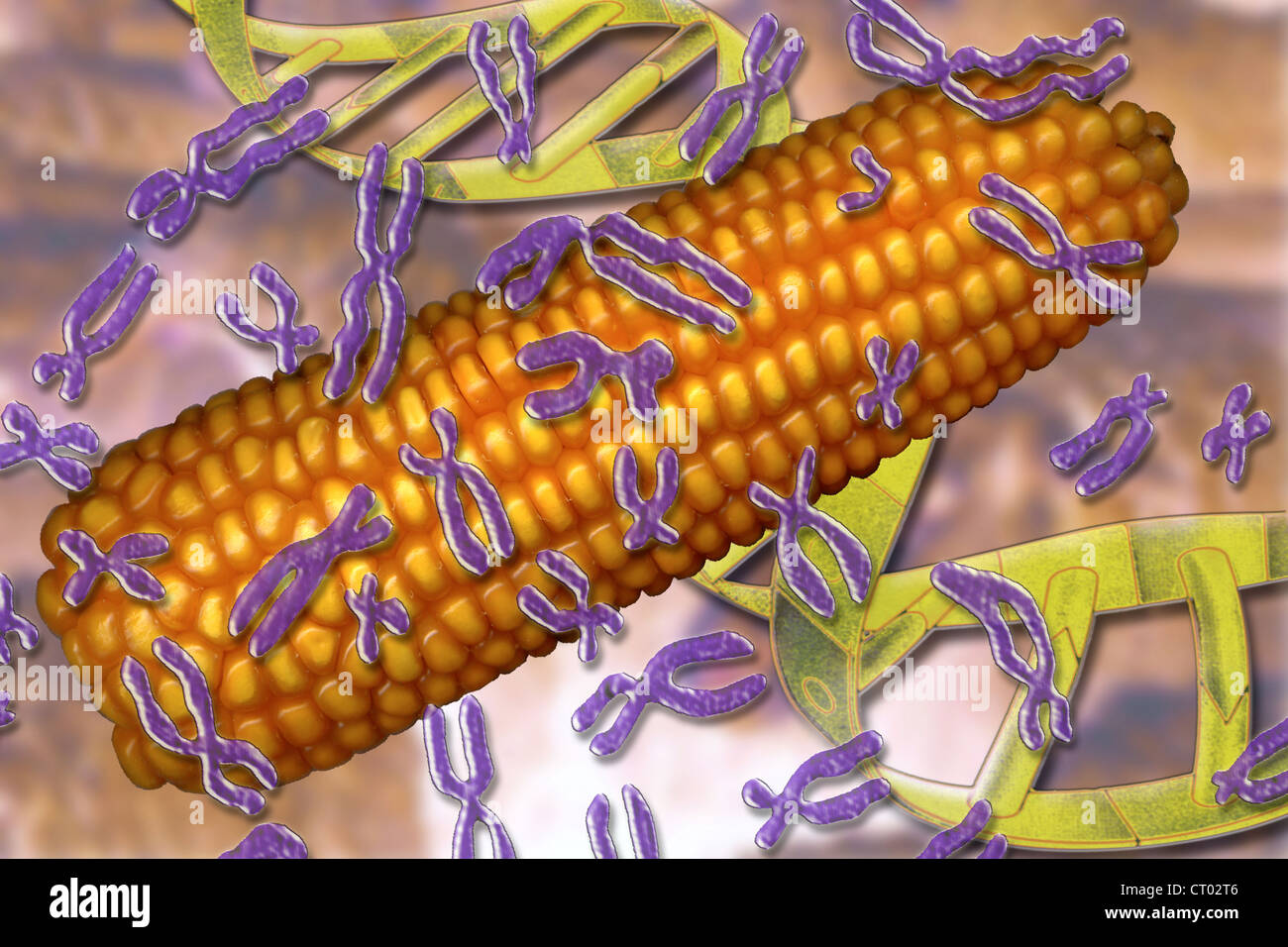 Genetically modified food drawings hi-res stock photography and images ...