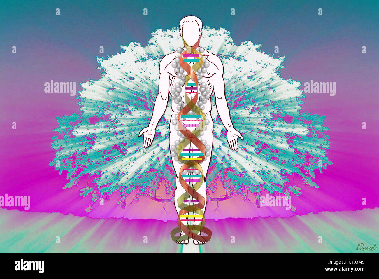 Helicoidal helixes hi-res stock photography and images - Alamy