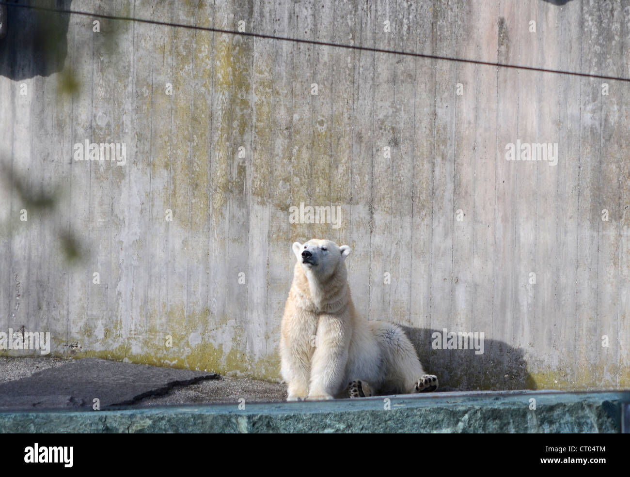 Animals from the Wilhelma Zoo in Stuttgart Stock Photo - Alamy