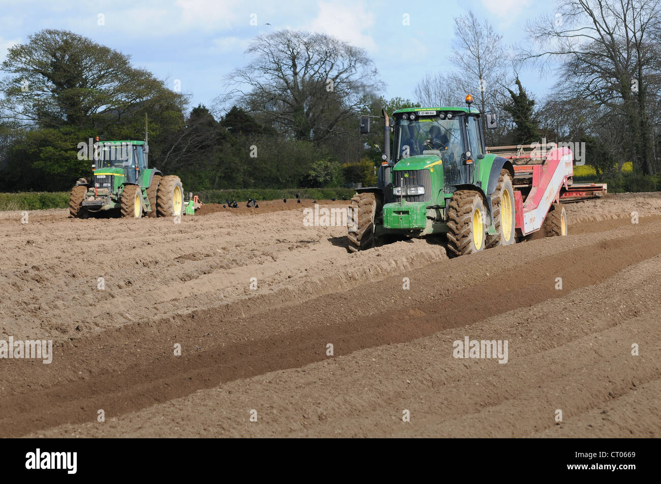 Tillage farmer ploughing and planting rooster seed potato Ireland Stock ...