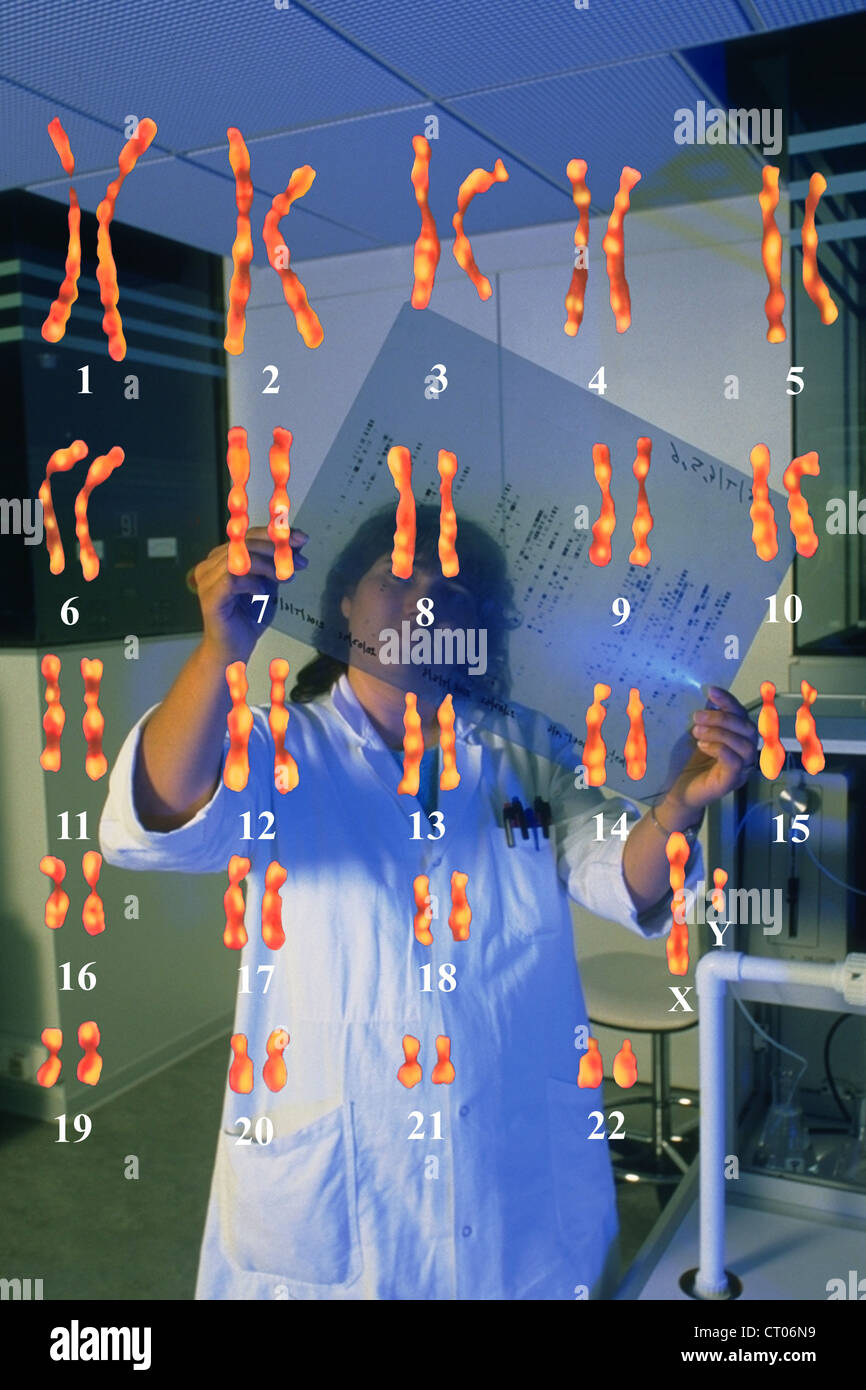 Chromosome maps hi-res stock photography and images - Alamy