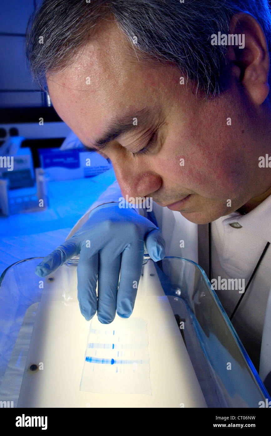 Cdc researcher hi-res stock photography and images - Alamy