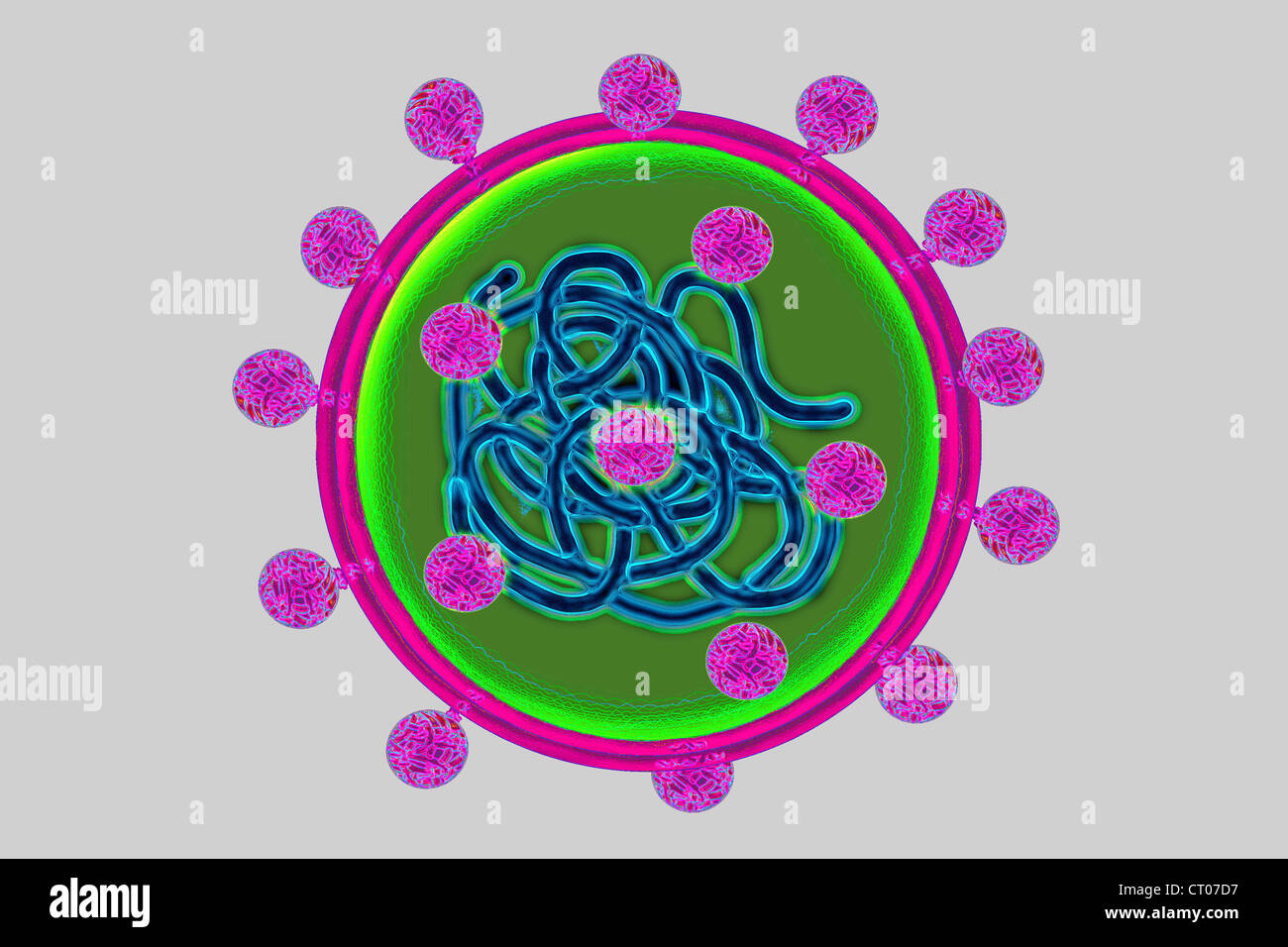Hepatitis c drawing hi-res stock photography and images - Alamy