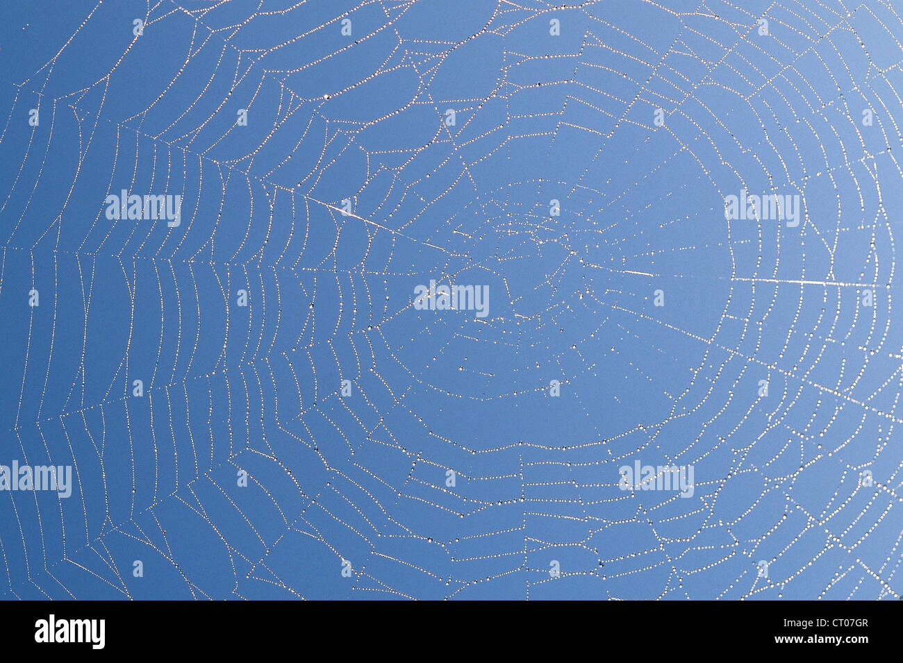 Solar spider hi-res stock photography and images - Alamy