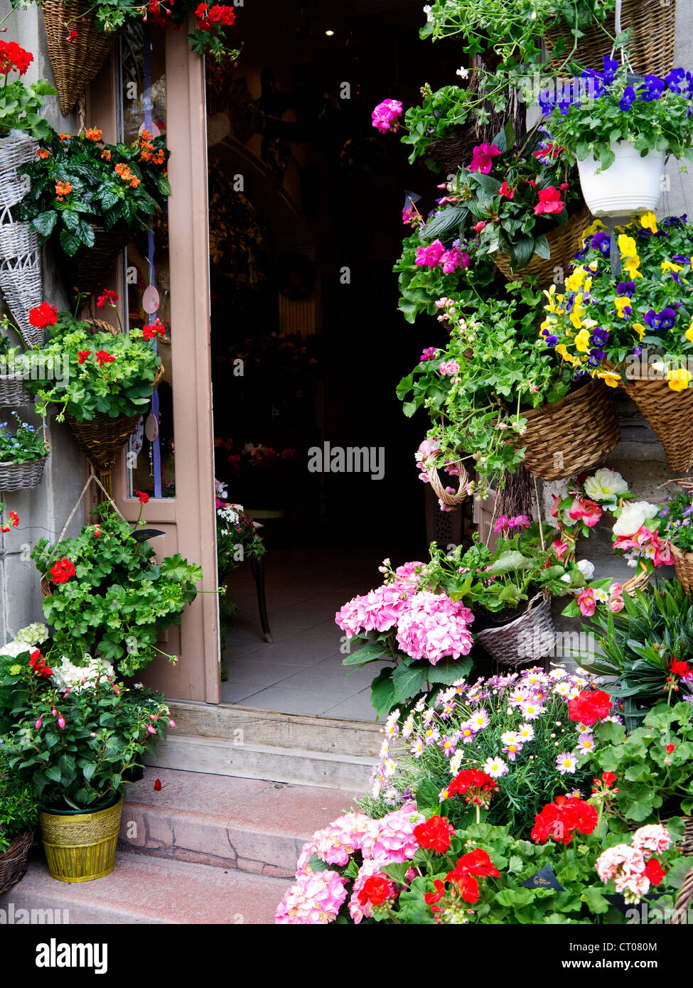 Hungary Budapest Flower Market High Resolution Stock Photography and ...