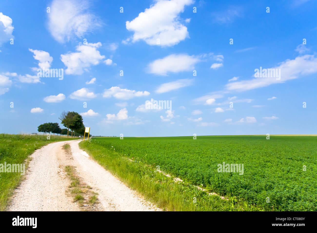 Lucerne field hi-res stock photography and images - Alamy