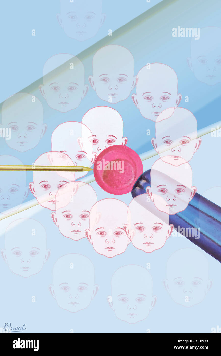 Human reproductive cloning hi-res stock photography and images - Alamy