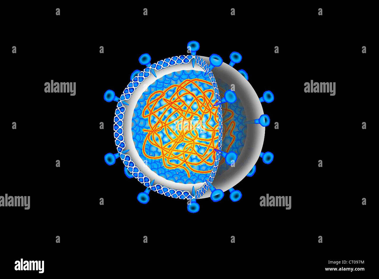 Hepatitis c drawing hi-res stock photography and images - Alamy
