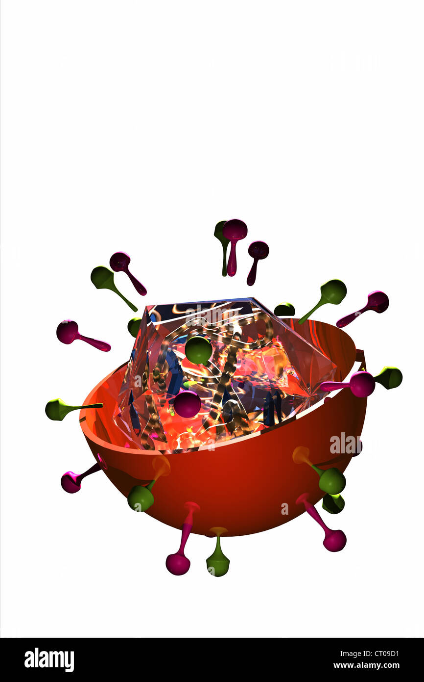 Hepatitis c drawing Cut Out Stock Images & Pictures - Alamy