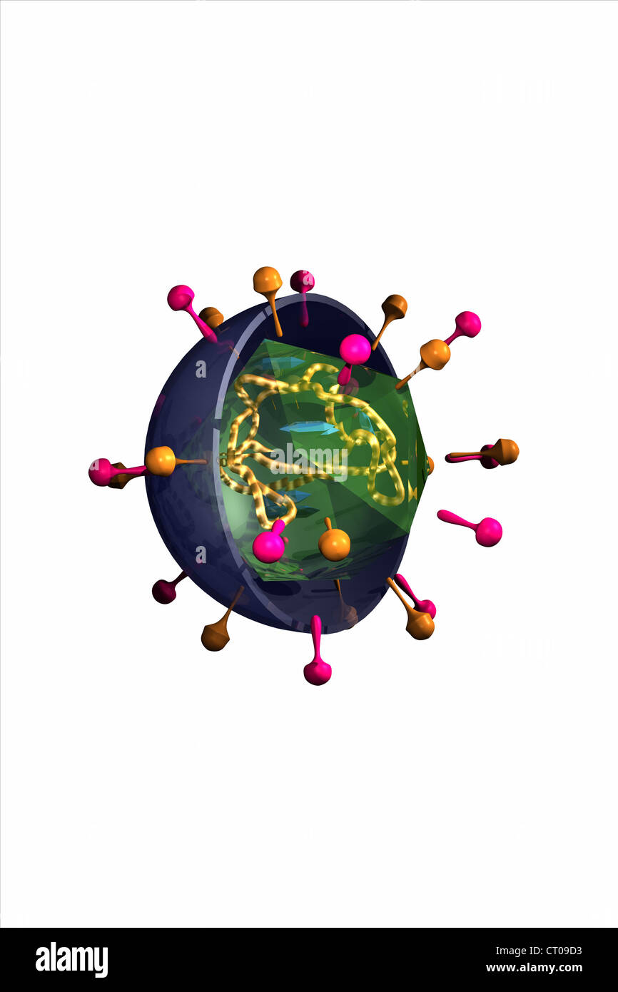 Hepatitis c drawing hi-res stock photography and images - Alamy