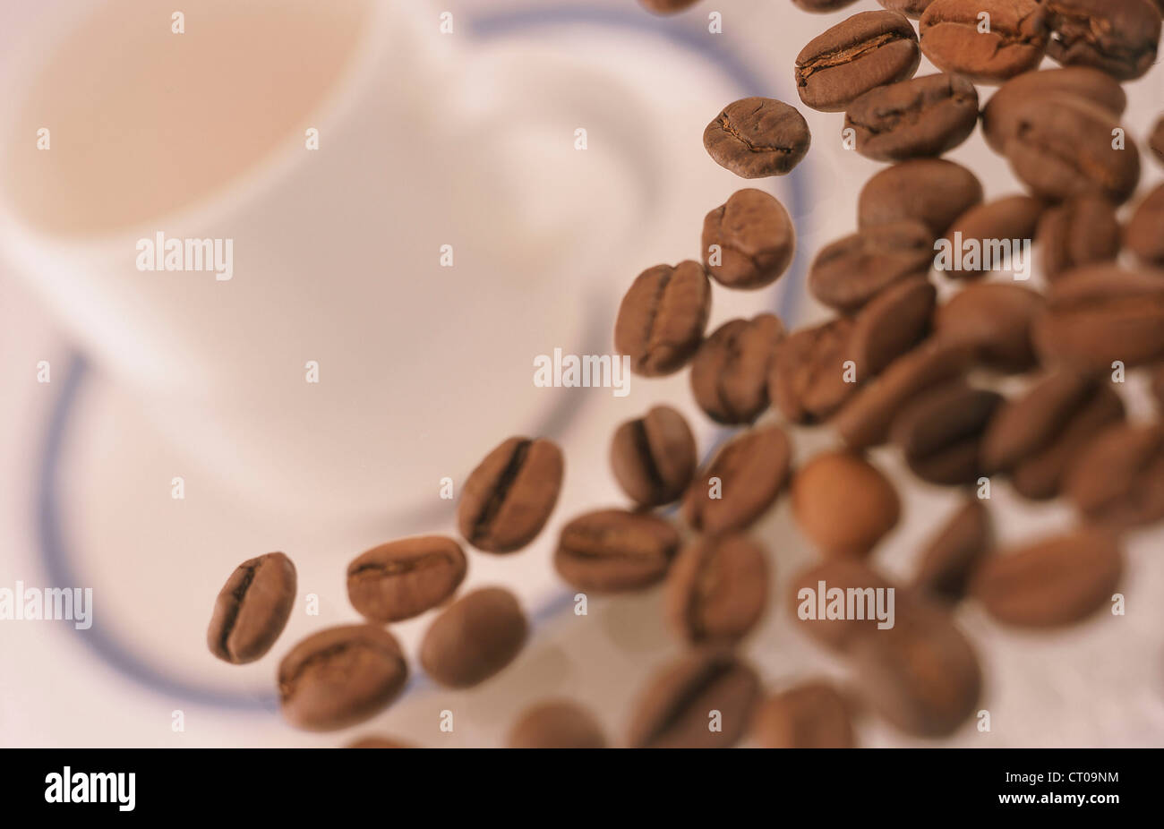 C8h10n4o2 hi-res stock photography and images - Alamy