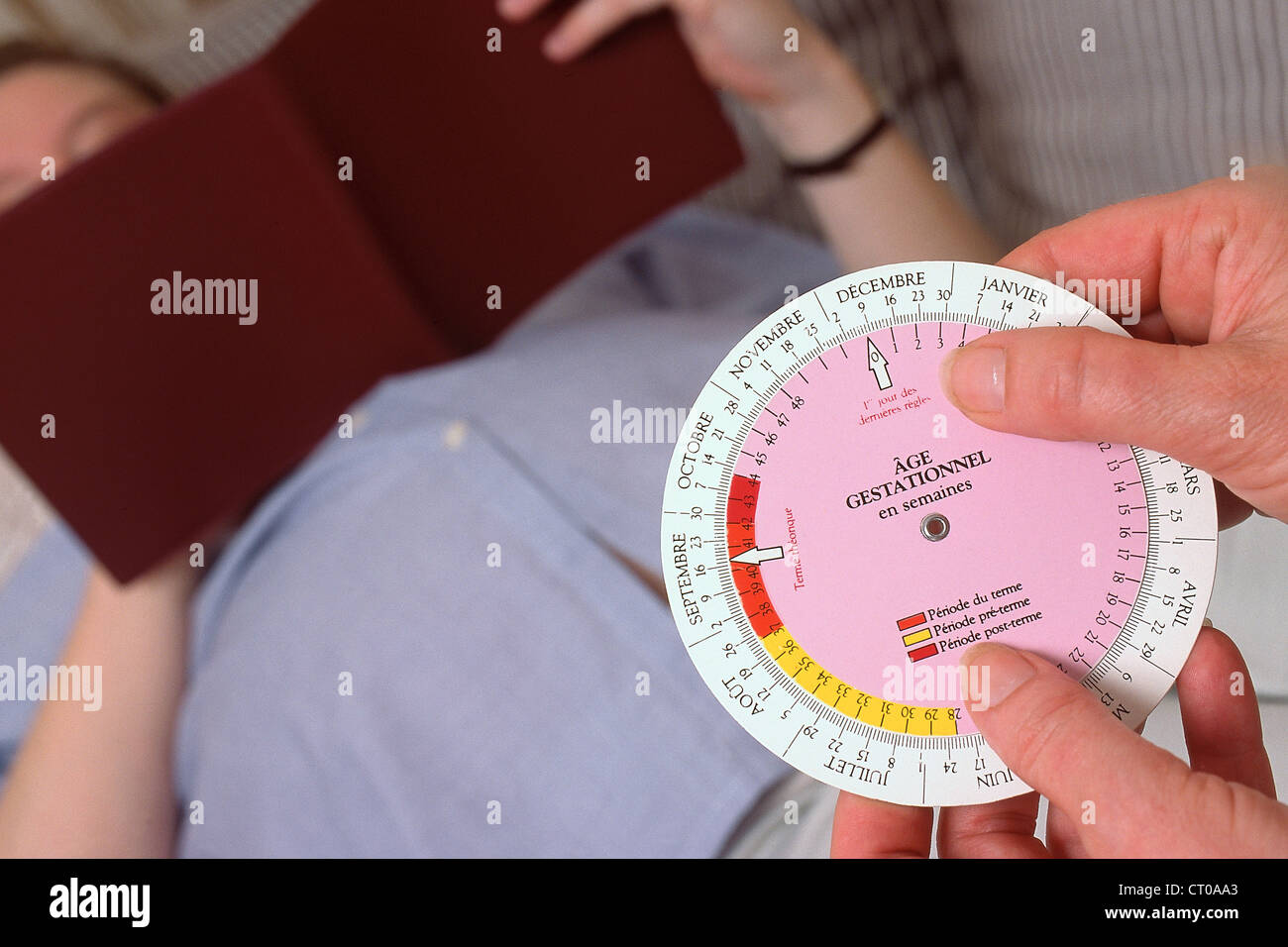 Gestational age hi-res stock photography and images - Alamy