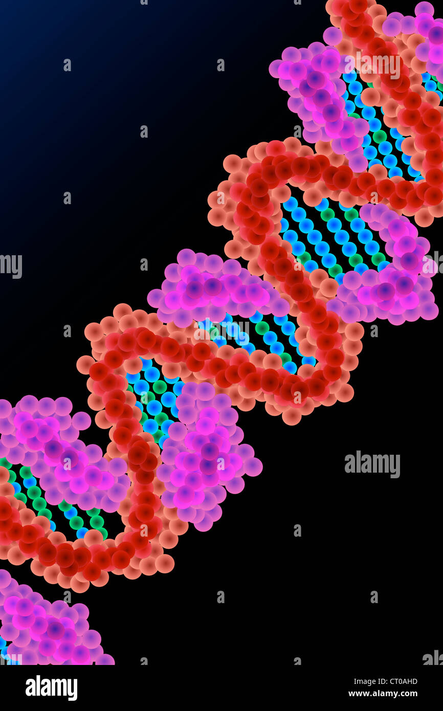 Helicoidal helixes hi-res stock photography and images - Alamy
