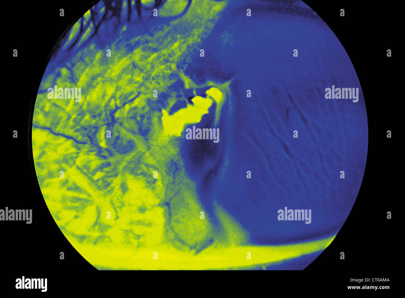 Seidel sign hi-res stock photography and images - Alamy