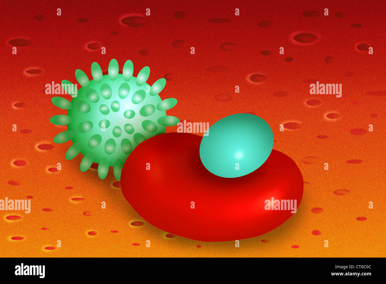 White Blood Cell Drawing Stock Photos & White Blood Cell Drawing Stock ...