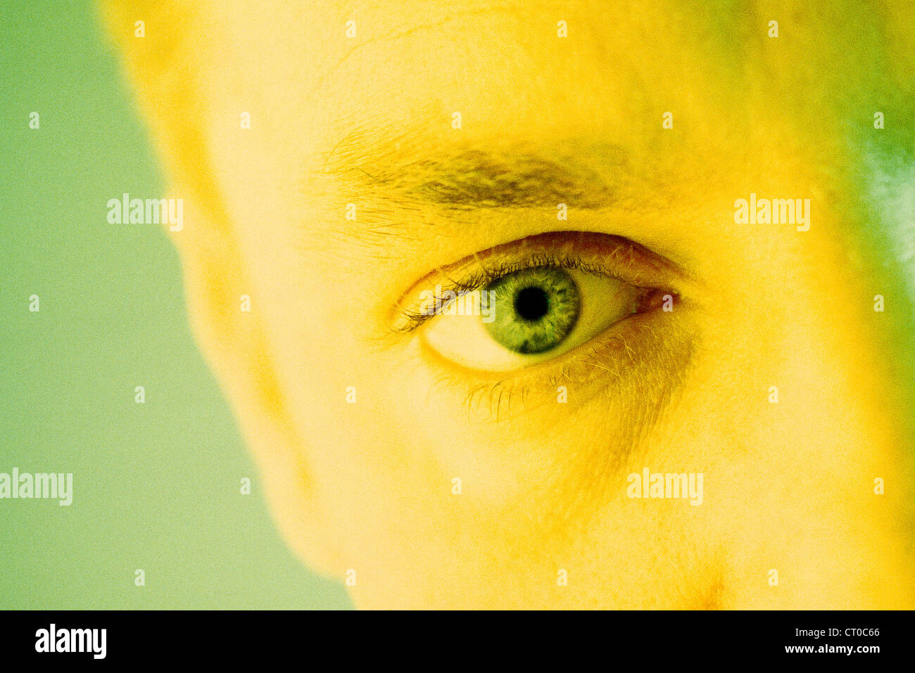 See Seeing Look Looking View Viewing Visual Eyes Eyesight High ...