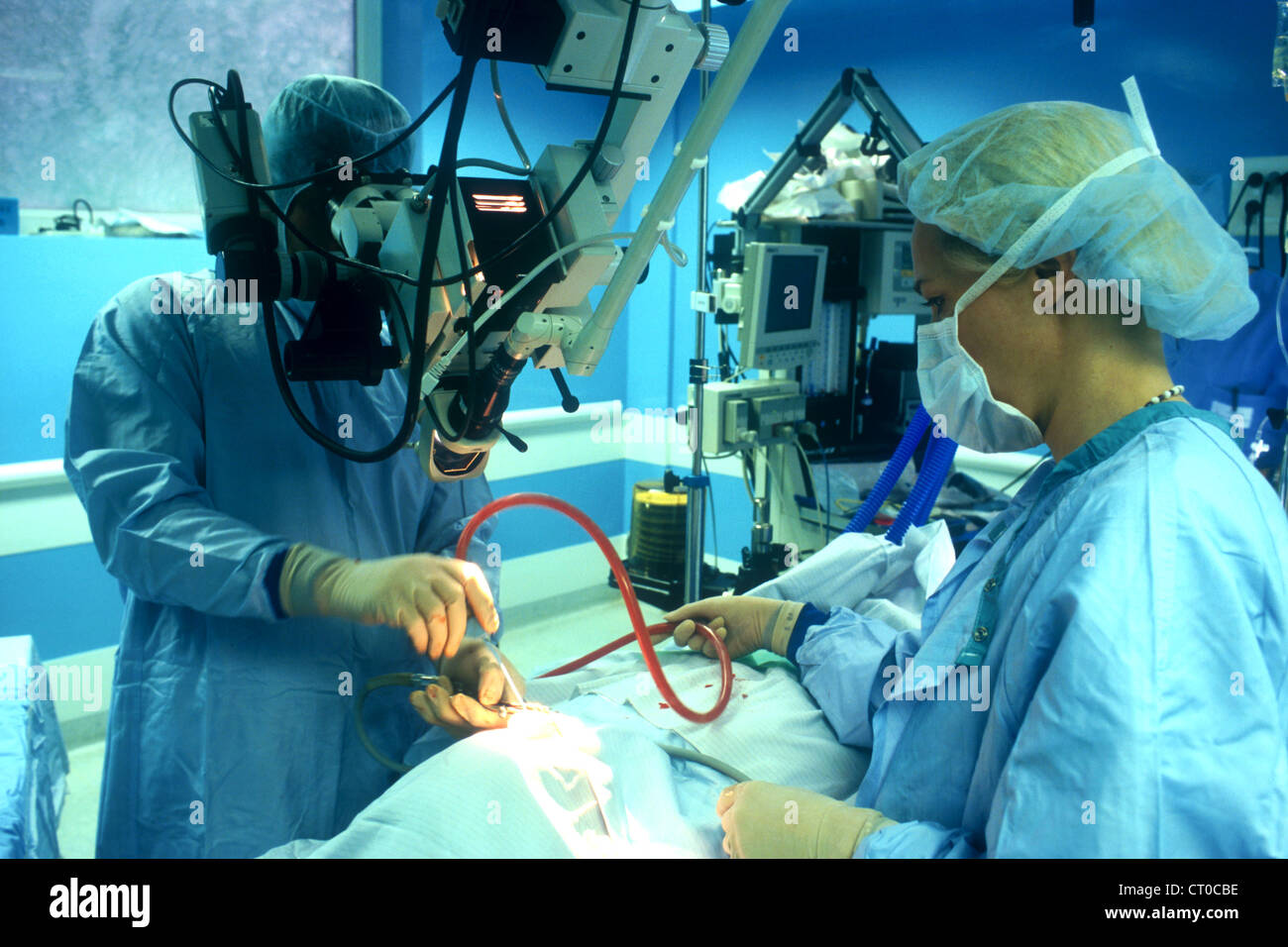 Endoscope nose hi-res stock photography and images - Alamy