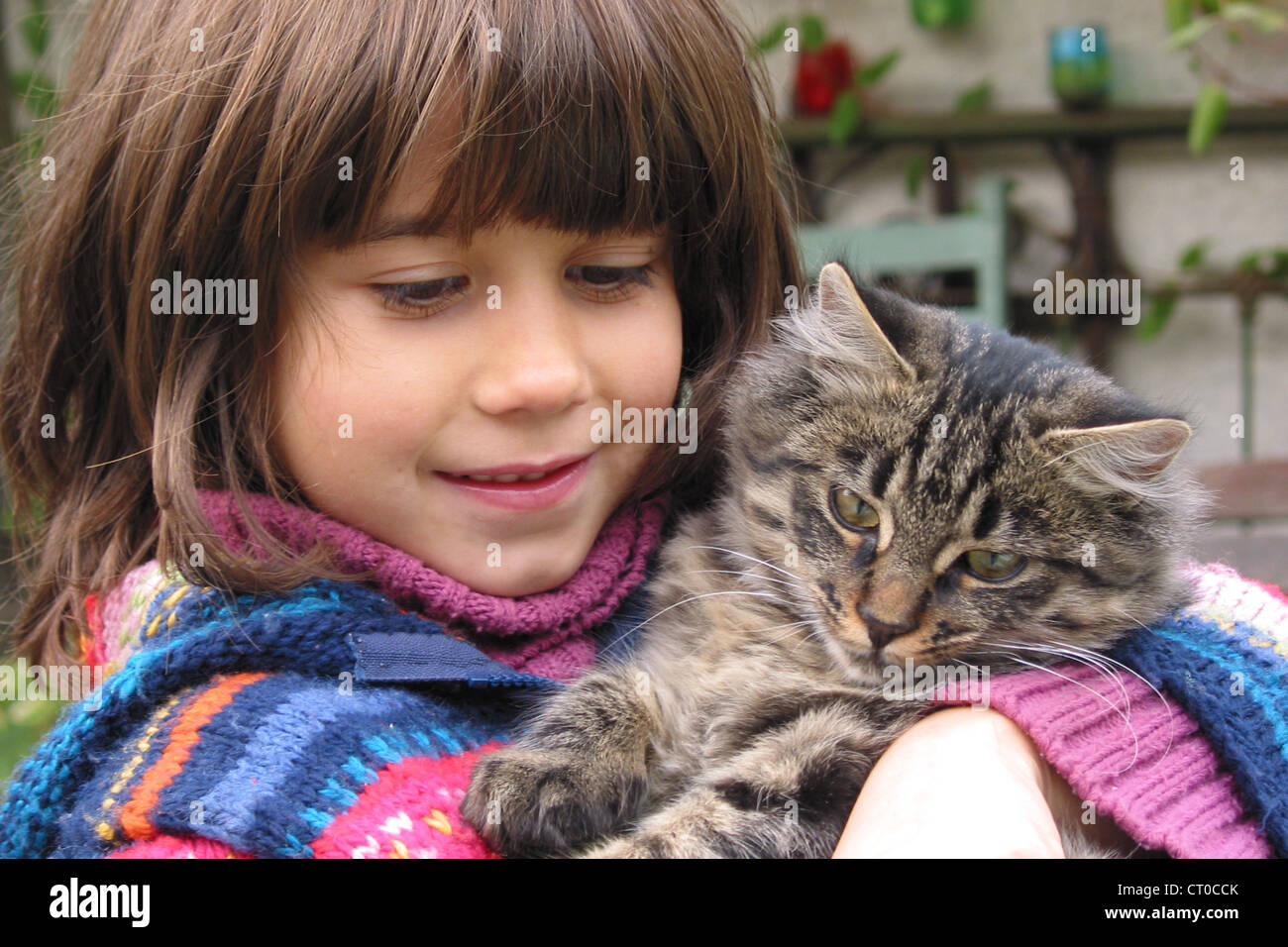 Child with cats hi-res stock photography and images - Alamy