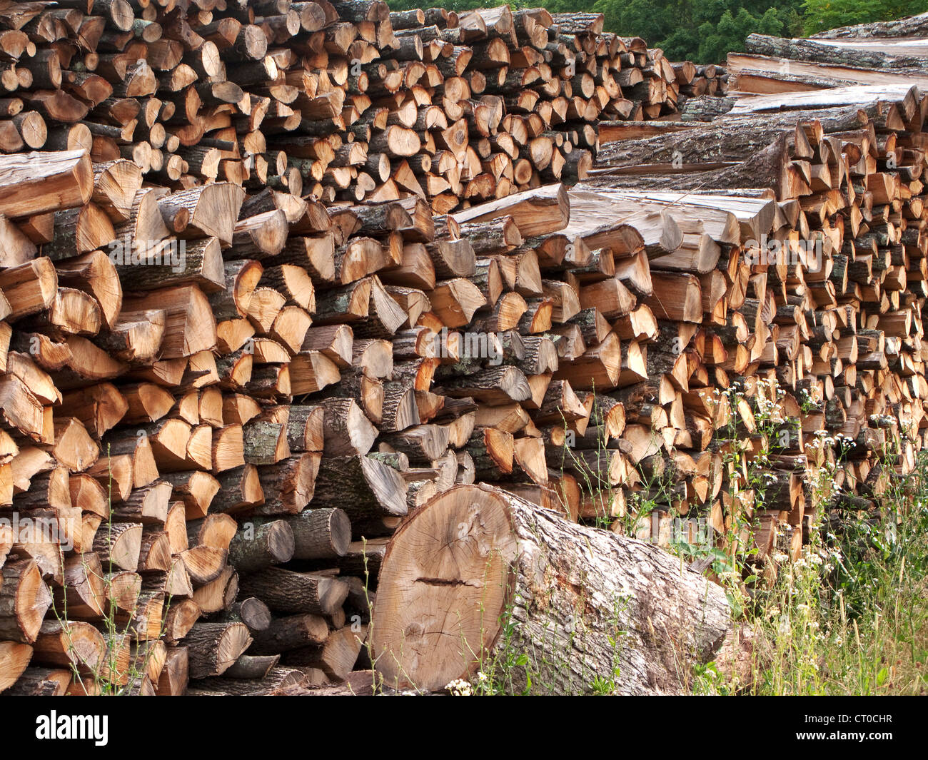 Pile Of Firewood High Resolution Stock Photography and Images - Alamy