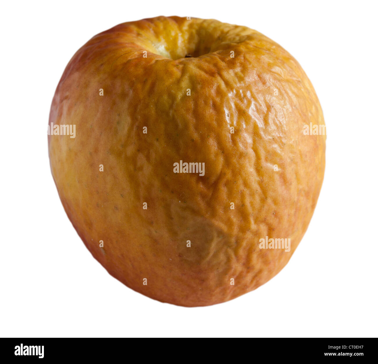 Macro shot of an old wrinkled yellow apple against white background ...
