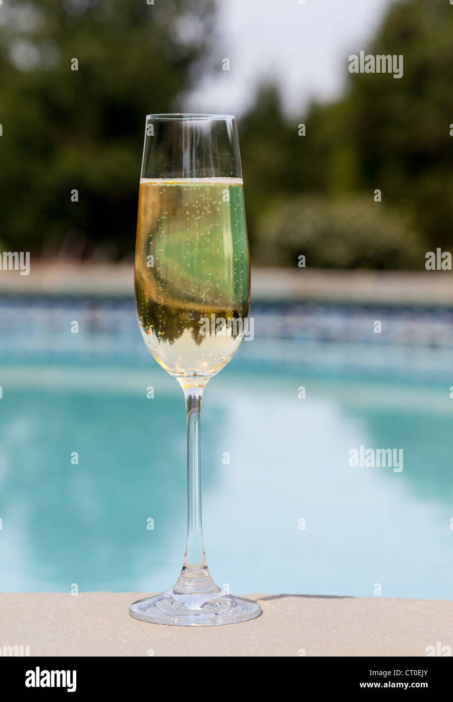 Elegant flute glass of sparkling white wine or champagne by side of ...