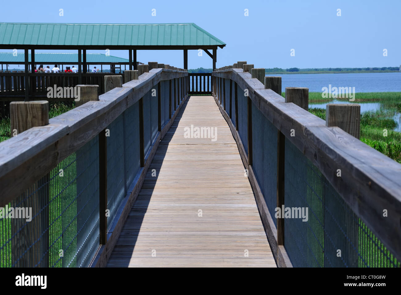 Boardwalk over swamp to pier on the lake Stock Photo - Alamy