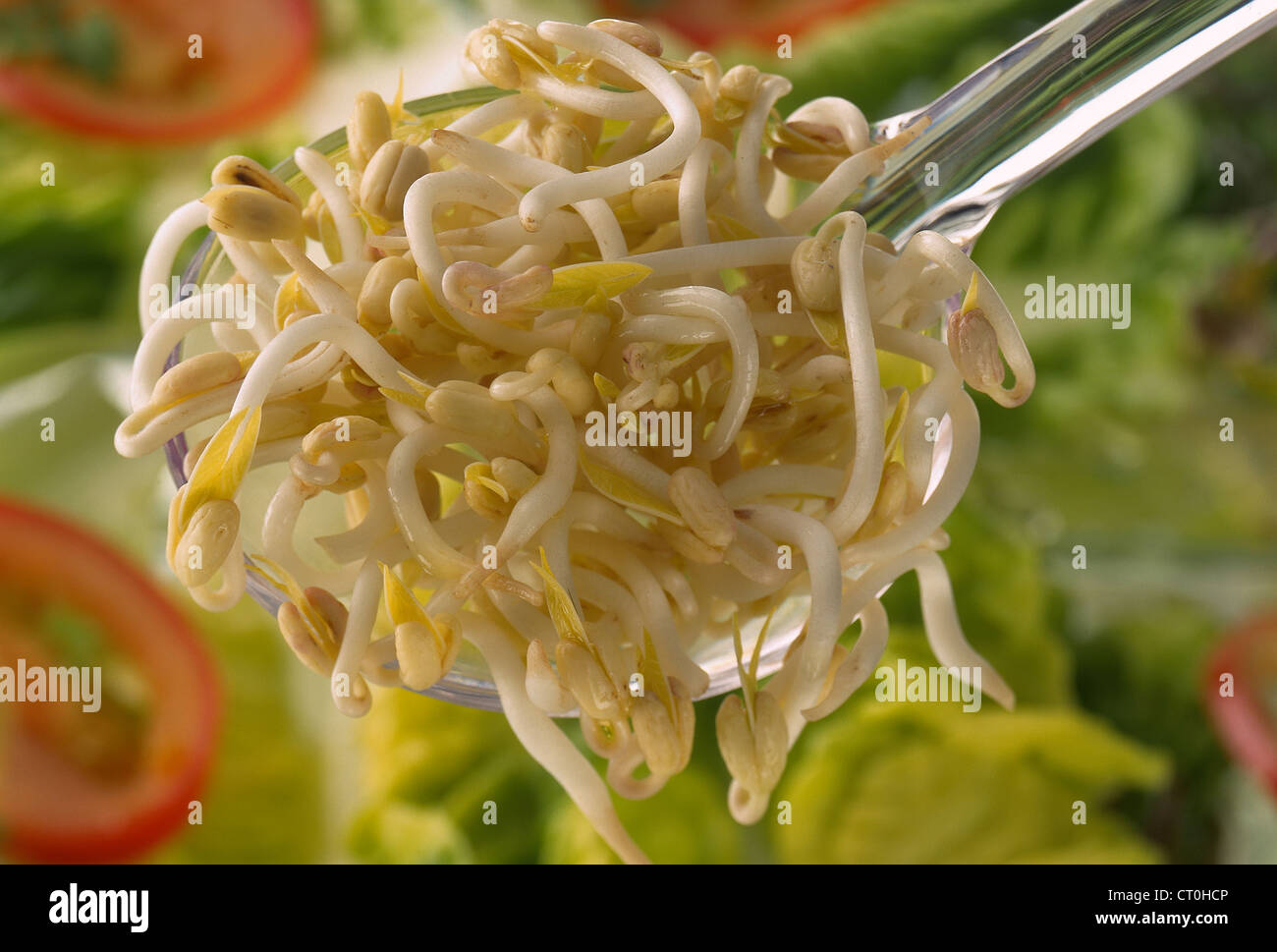 Genetically modified soybeans hi-res stock photography and images - Alamy