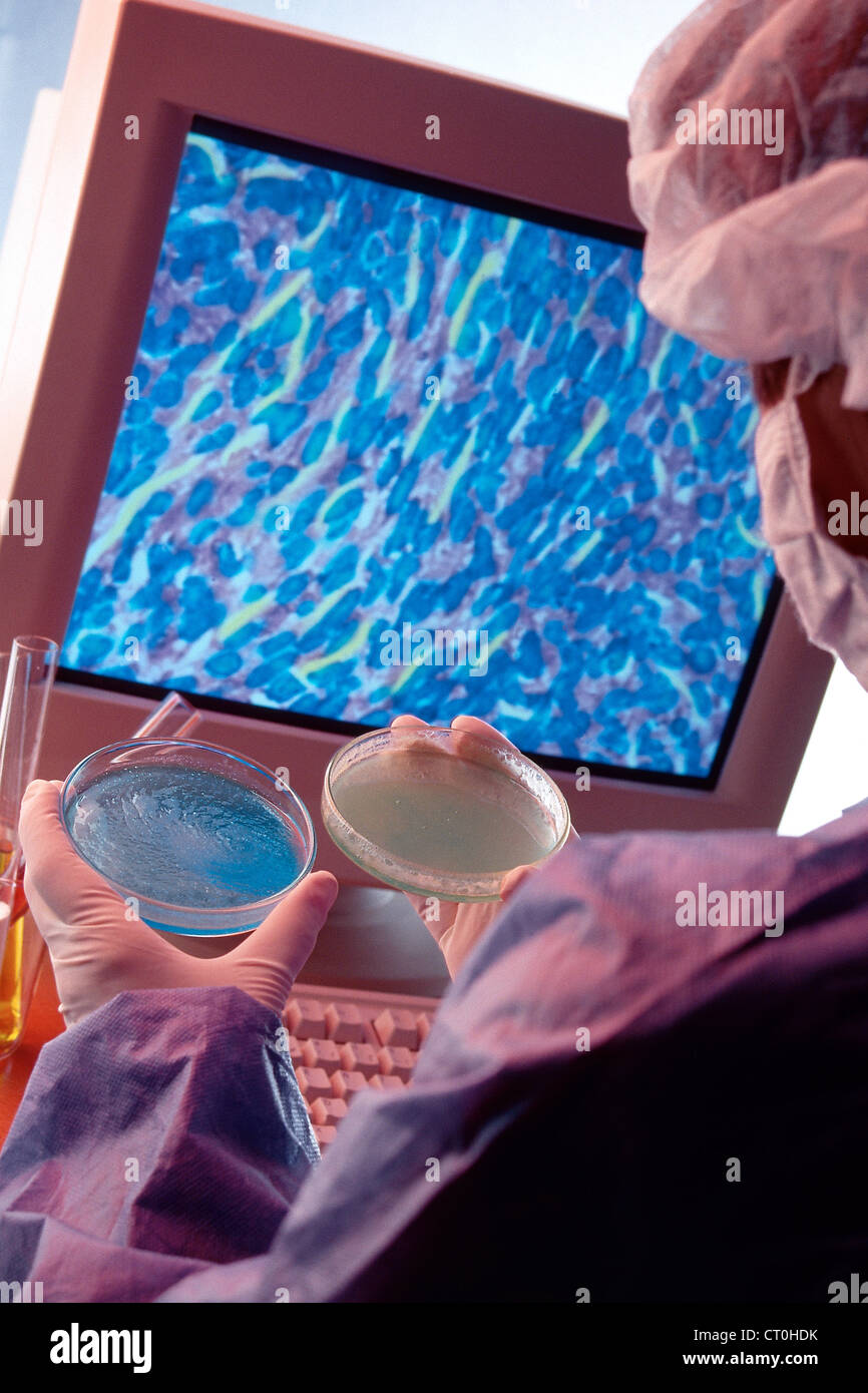 Screening cells hi-res stock photography and images - Alamy
